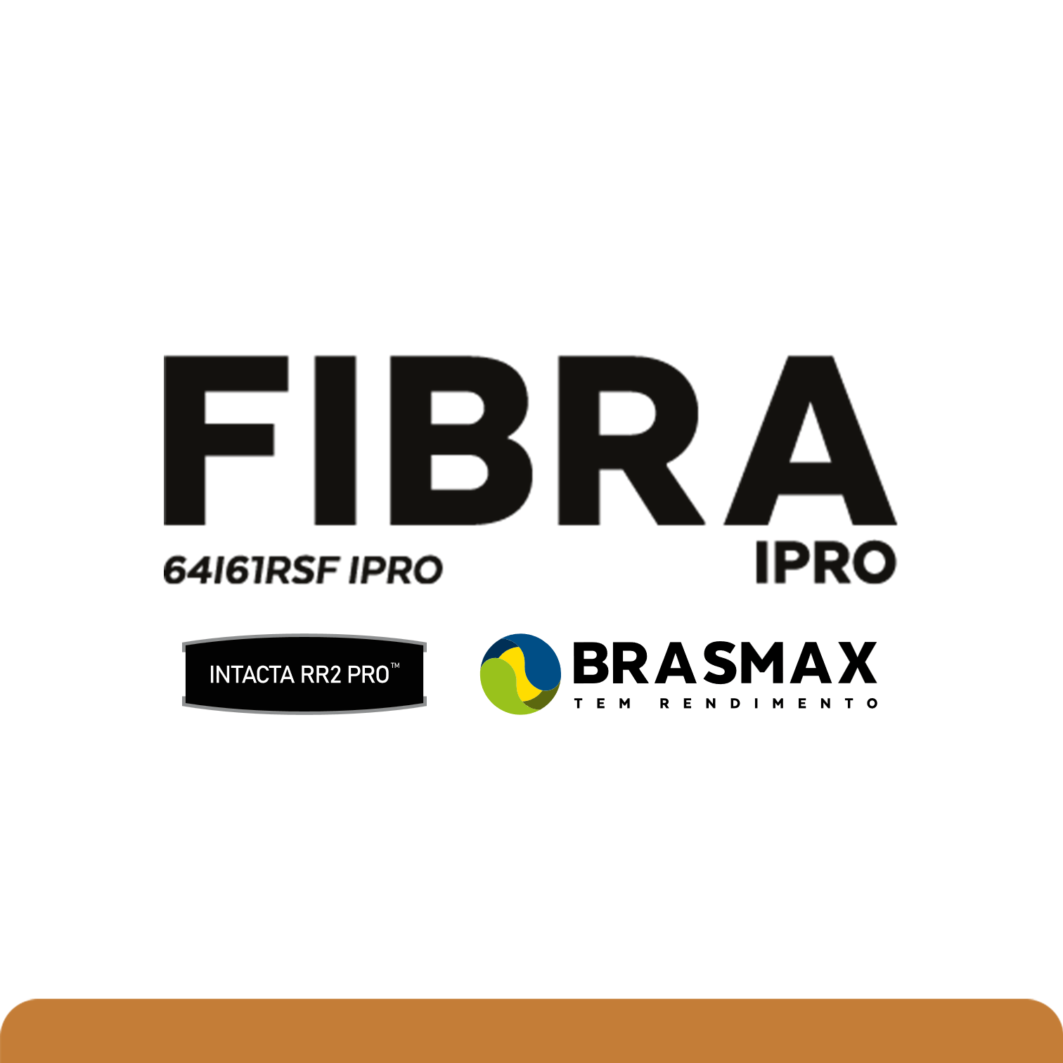 BMX Fibra IPRO - 3tentos